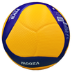 Mikasa V200W Indoor Volleyball – VolleyStore